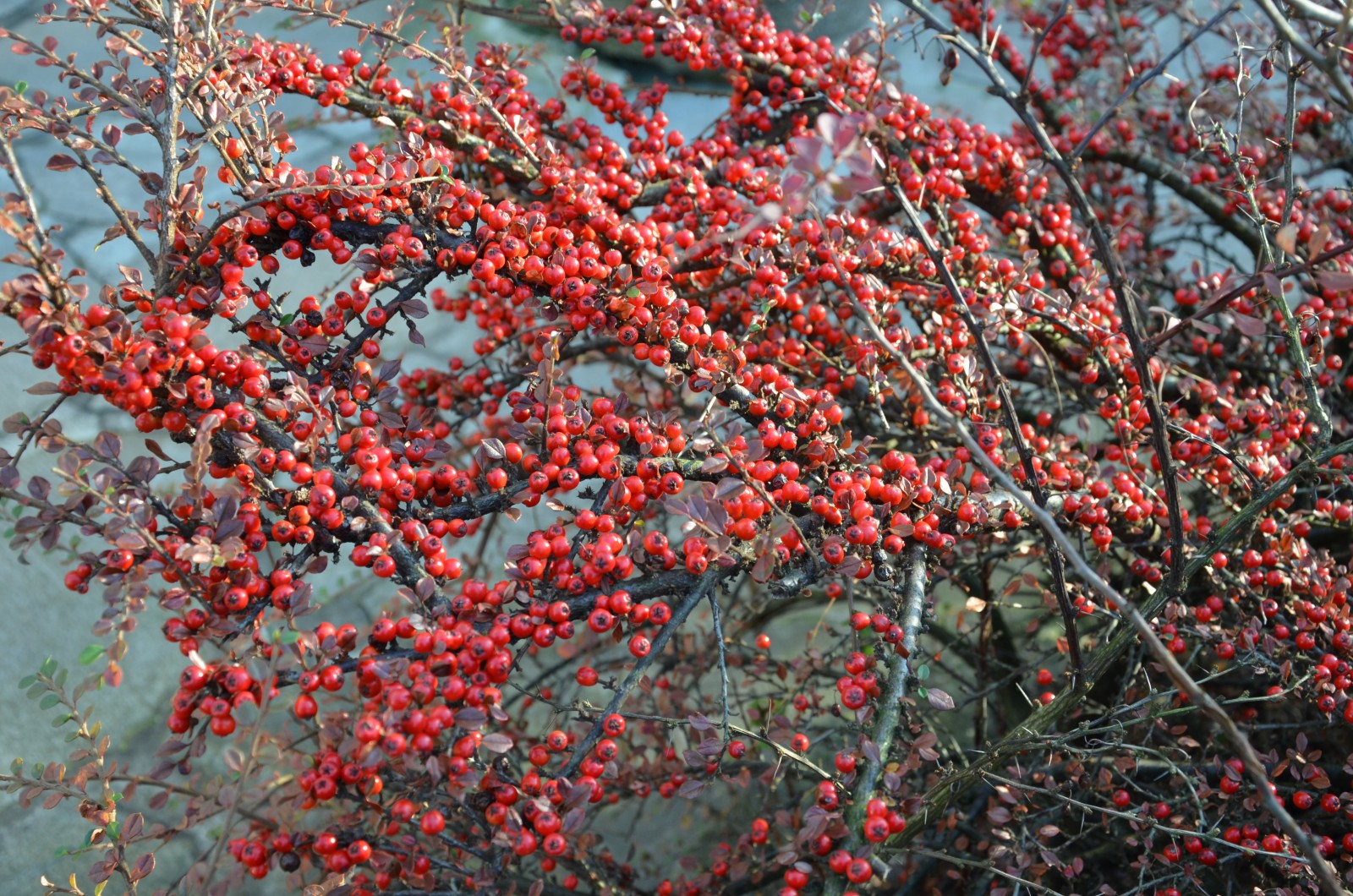 Razne lepe slike 001 – Pastoralna zveza Dravograd