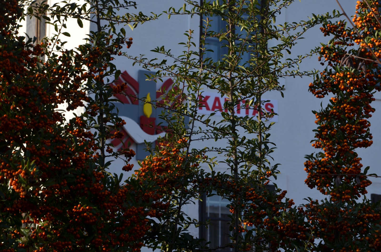 Razne lepe slike 008 – Pastoralna zveza Dravograd